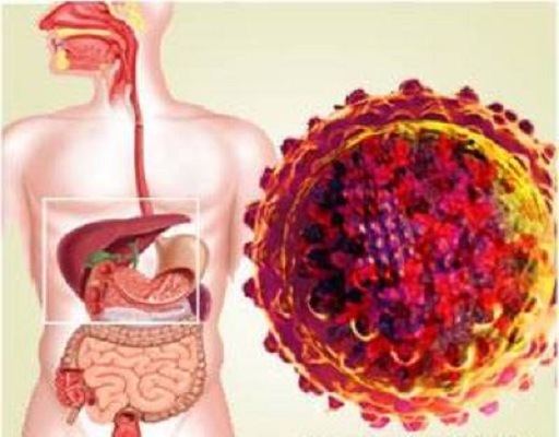 Hepatitis Viral: A, B, C, Definición, Causas, Síntomas, Fases de ...