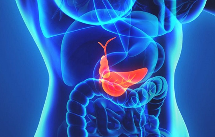 Lodos de la vesícula biliar: causas, síntomas, tratamiento