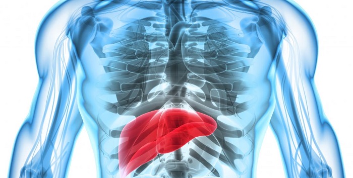 ¿Qué es el hígado agrandado o la hepatomegalia: causas, síntomas ...