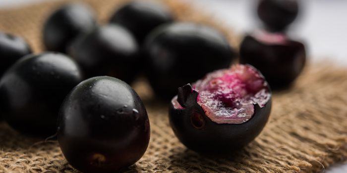 20 increíbles beneficios para la salud de Java Plum o Jamun