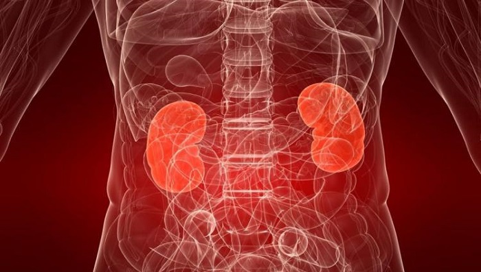 Acidosis metabólica: causas, síntomas, diagnóstico, tratamiento ...