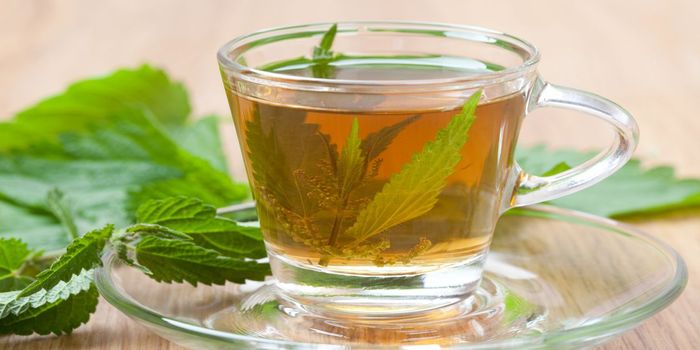 Beneficios y efectos secundarios del té de ortiga