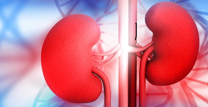 Nefropatía por CFHR5 o nefropatía de Troodos: causas, síntomas ...