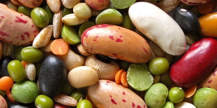 ¿Qué es una dieta con base alcalina y cuáles son sus beneficios?