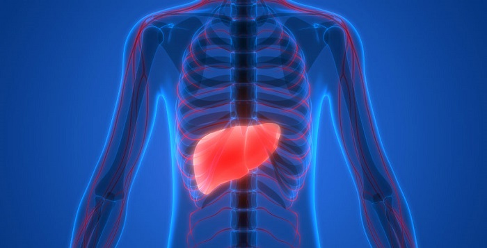 Varices gástricas: causas, síntomas, tratamiento, cirugía