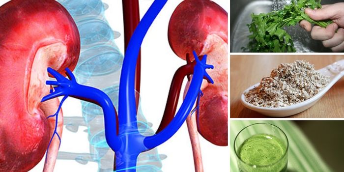 7 alimentos efectivos para la limpieza del riñón - Dolor
