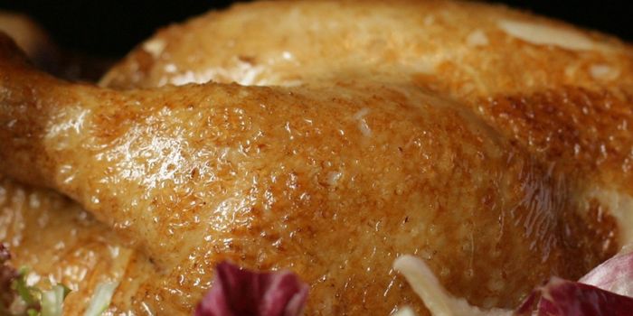 ¿Es el pollo bueno o malo para el colesterol?