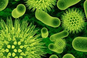 Qué es la esteatorrea: causas, síntomas, tratamiento, complicaciones ...