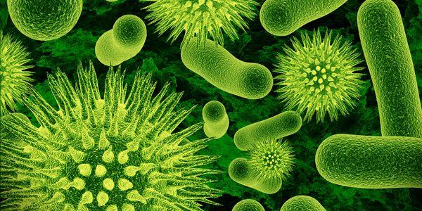 Amebiasis: causas, síntomas, tratamiento, remedios caseros, pronóstico ...